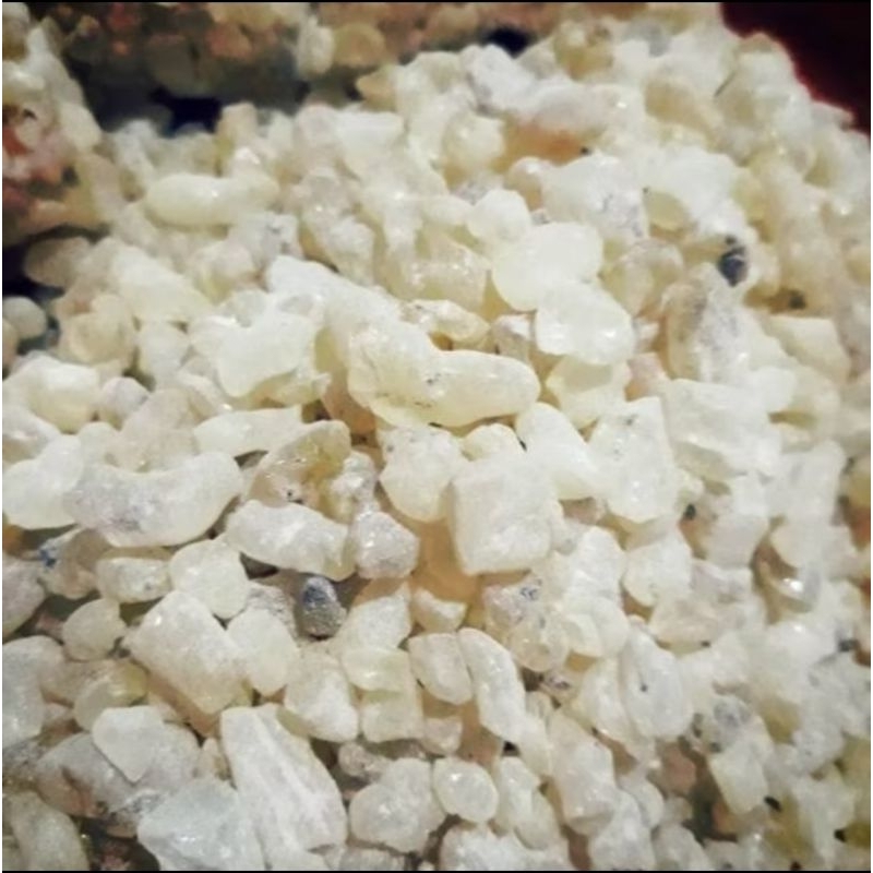 Jual Menyan mustaki/ menyan arab/ menyan putih/ menyan putih super 100 ...