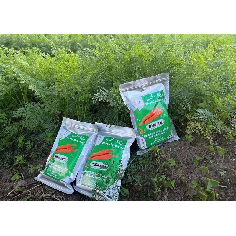 Jual Benih Bibit Wortel Berastagi SADA | Shopee Indonesia