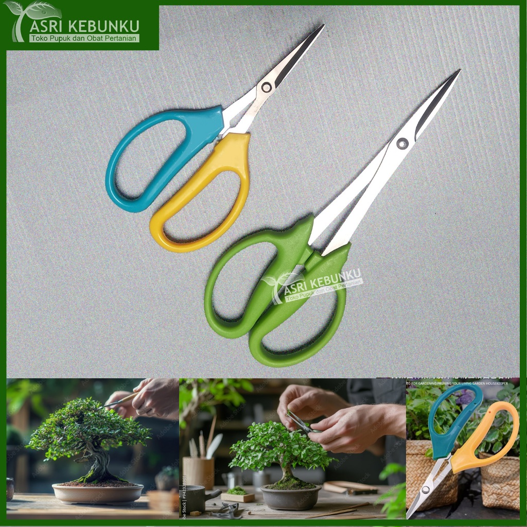 Jual Gunting Bonsai Ranting Daun Bunga dan Buah Alat Pangkas ...