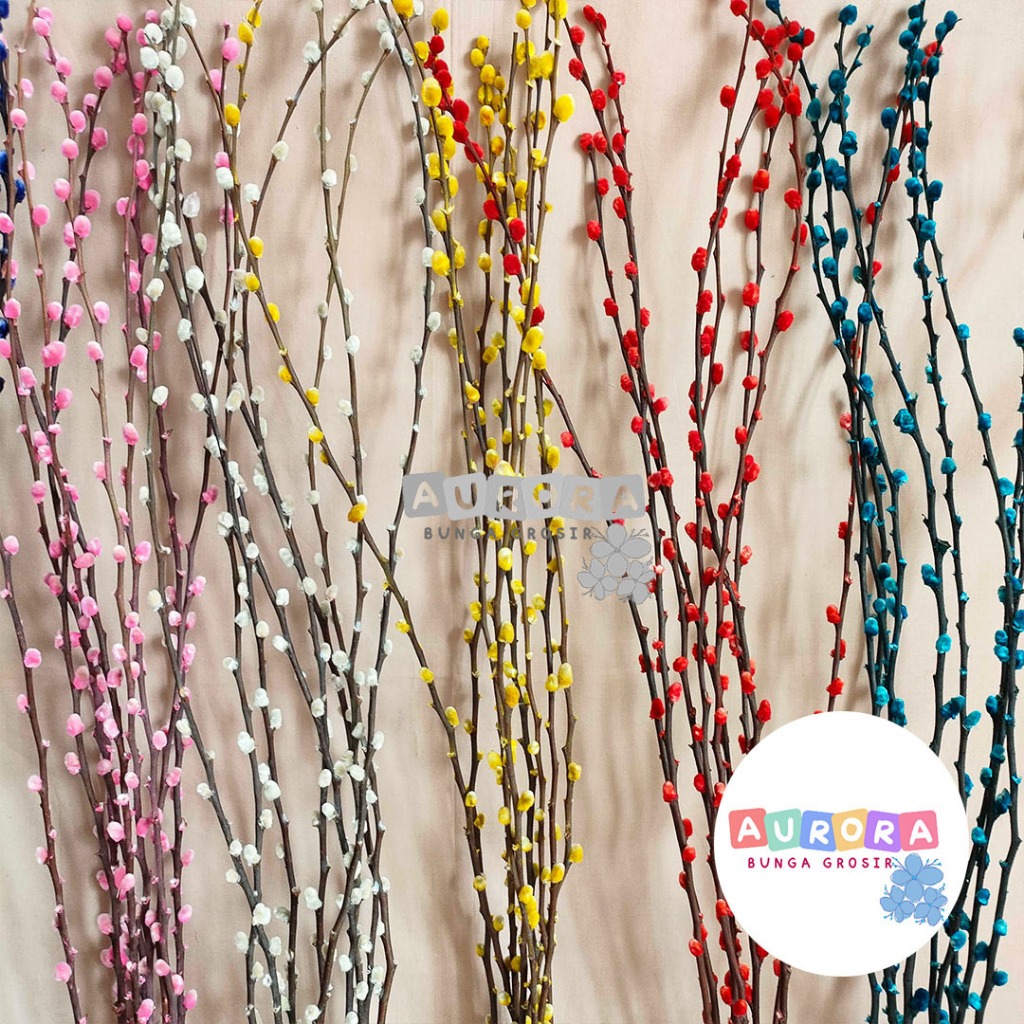 Jual (9pcs) 120cm Dried Pussy Willow LARGE 2023 Bunga Imlek Dekorasi ...
