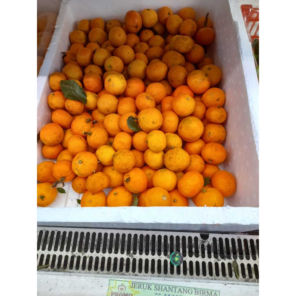 Jual JERUK SHANTANG BIRMA MANIS 1KG | Shopee Indonesia