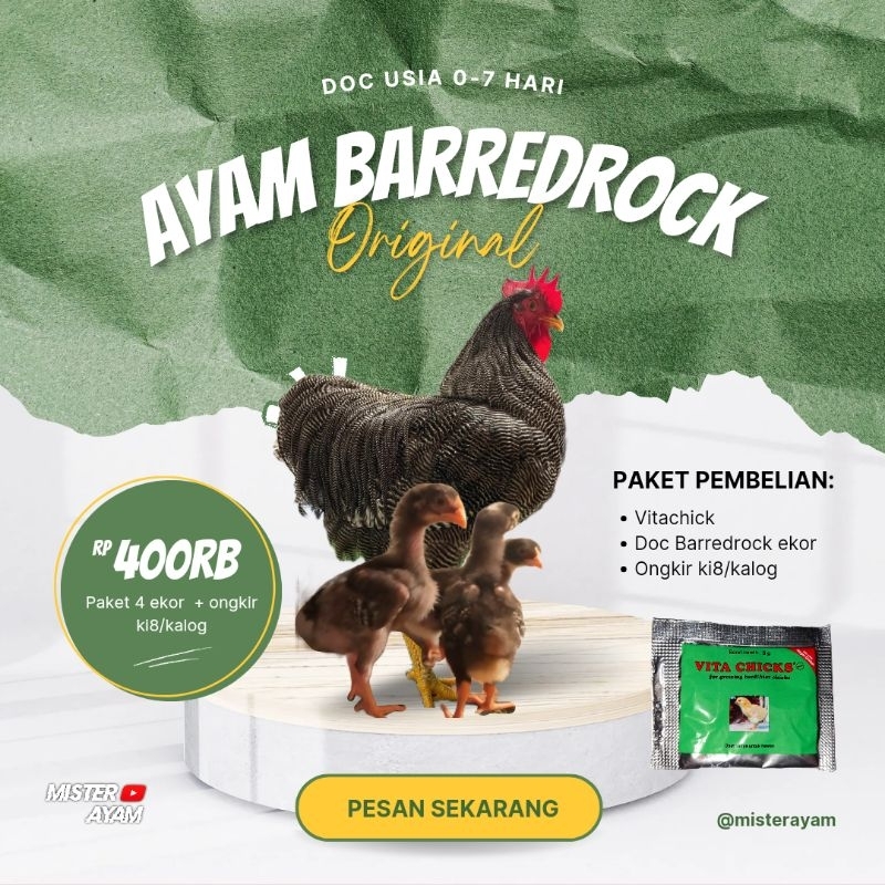 Jual DOC BARREDROCK ORI ISI 4 | Shopee Indonesia