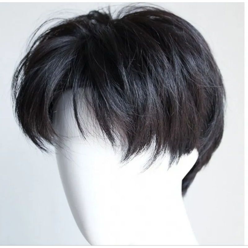 Jual WIG RAMBUT PRIA PENDEK MODEL KOREA | Shopee Indonesia
