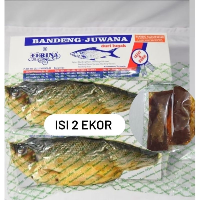 Jual Bandeng Juwana Elrina Semarang Kemasan Vakum | Shopee Indonesia