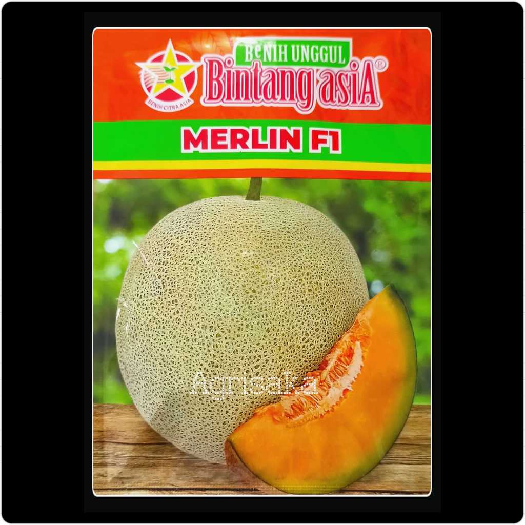 Jual Benih Rock Melon Orange MERLIN F1 20 Gram - Bintang asiA | Shopee ...