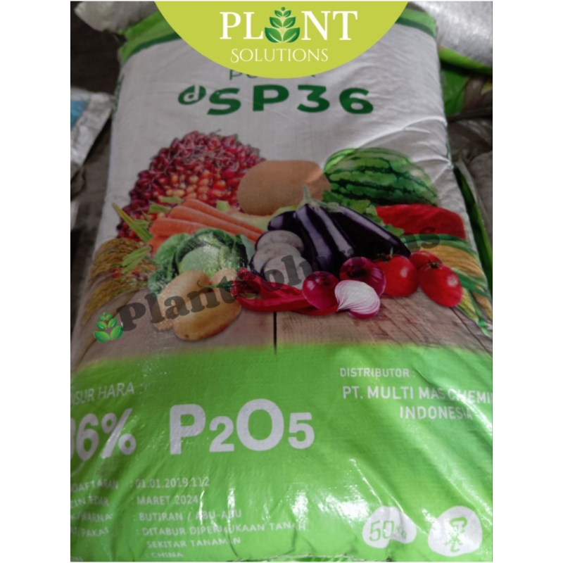Jual Pupuk DSP SP 36 50KG Mempercepat Pertumbuhan Tanaman dan Hasil ...