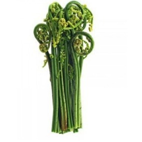 Jual Daun Pakis 250 gram | Shopee Indonesia