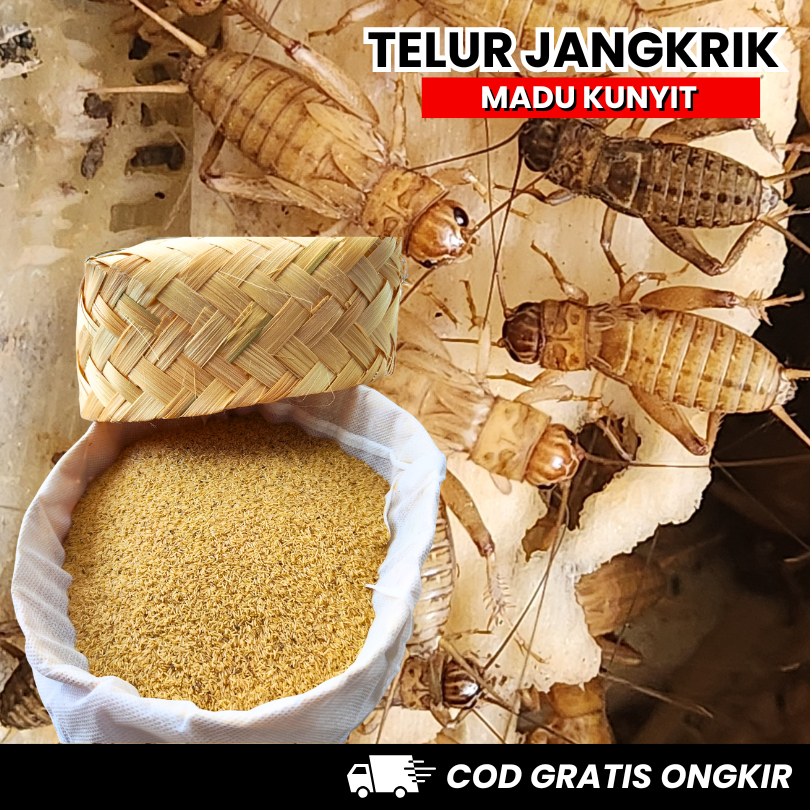 Jual Madu TJ Harga Terlengkap & Harga Terbaru Juni 2026 | Shopee Indonesia