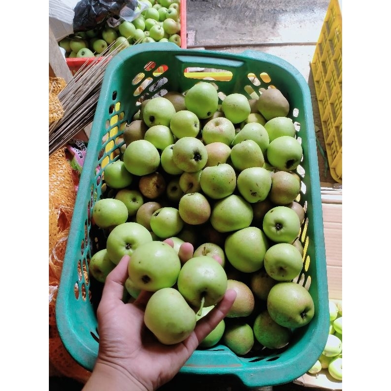 Jual Apel 1 Kg Terlengkap & Harga Terbaru Mei 2026 | Shopee Indonesia