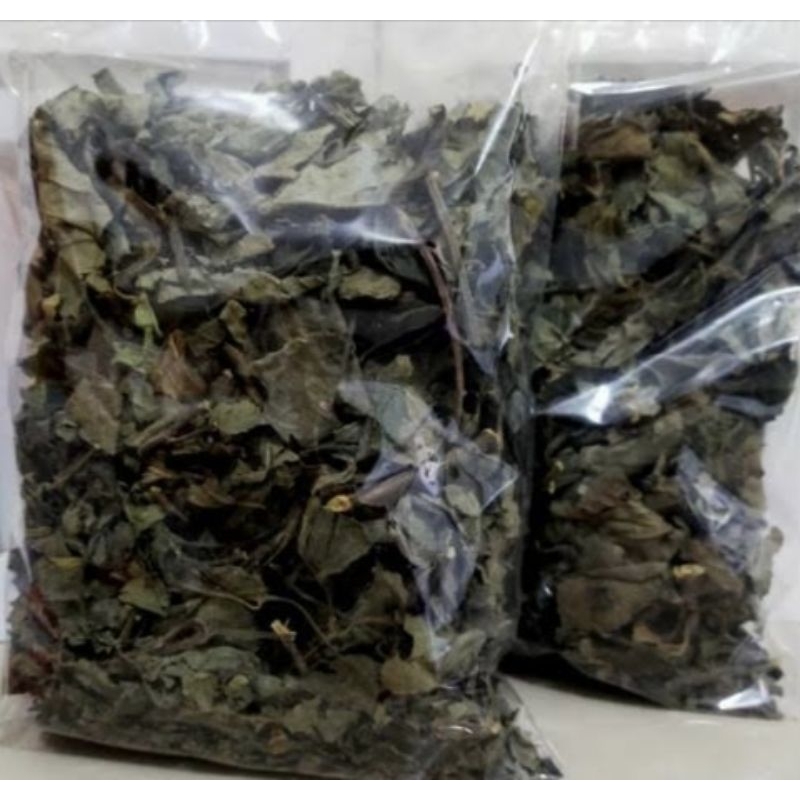 Jual Daun keji beling kering 1 kg / 500gram | Shopee Indonesia