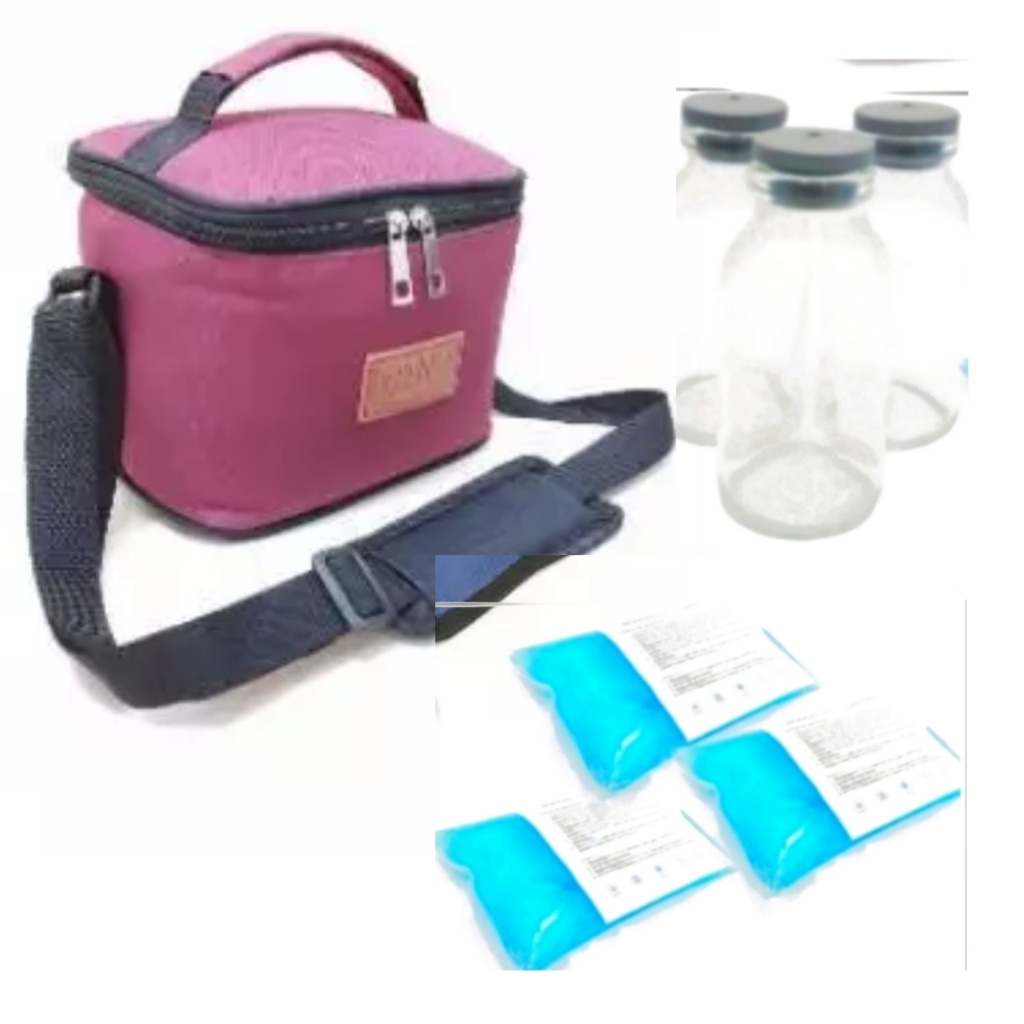 Jual Cooler Bag Asi mini full foil / cooler bag asi asip / tas ...