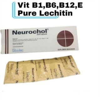 Jual Neurochol Perkapsul 1 Kapsul / Vitamin & Suplemen Makanan | Shopee ...