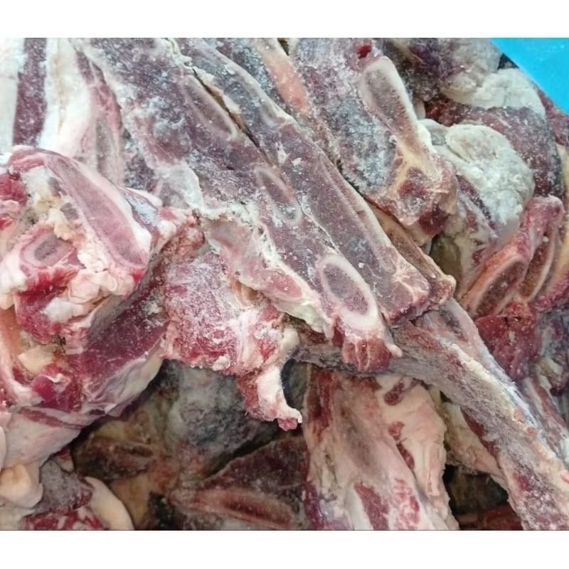 Jual tulang shortib sekilo 1 kg daging sapi halal | Shopee Indonesia