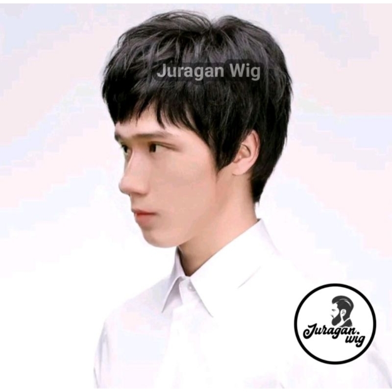 Jual Full Wig Pendek Pria Korea / Rambut Pendek Pria Model Lurus Rapi ...
