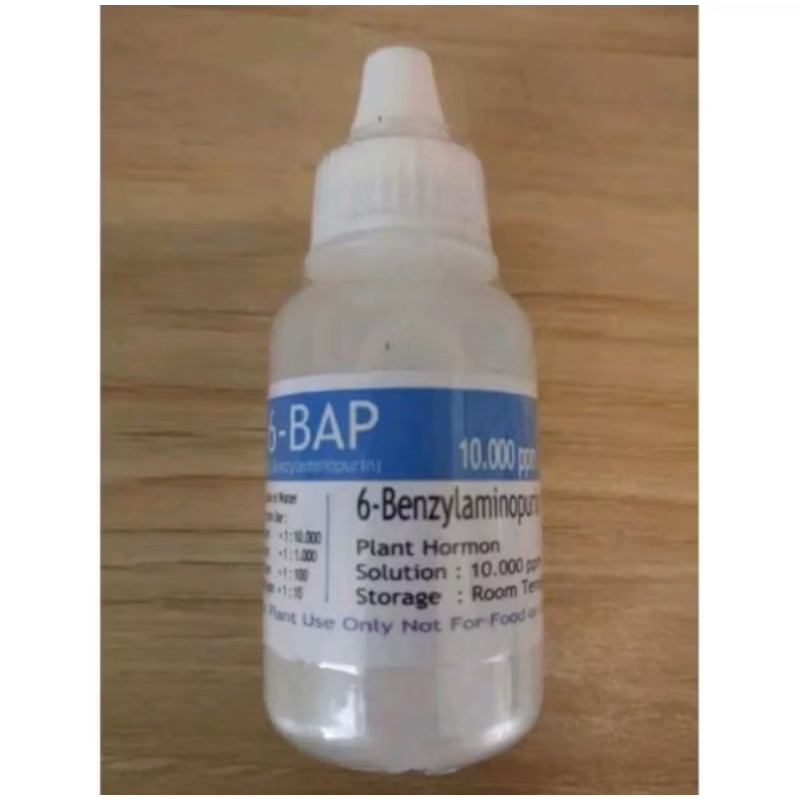 Jual Hormon BAP 6 BENZYLAMINO Hormon Anggrek Penumbuh Tunas Ukuran 30ML ...