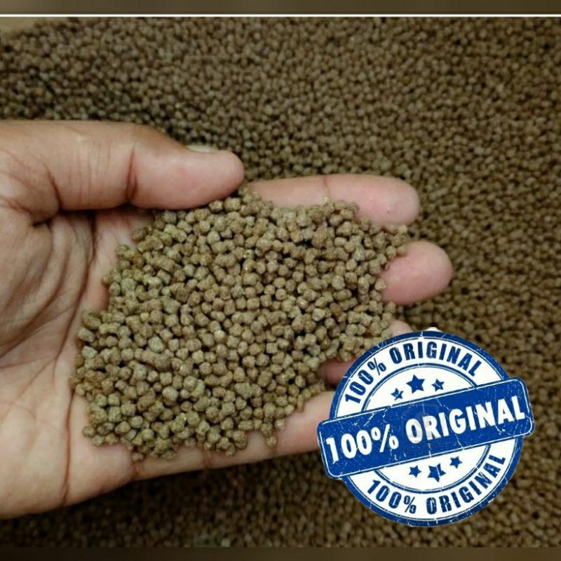 Jual pakan eko feed 2 original hi provite pelet lele nila patin bandeng ...
