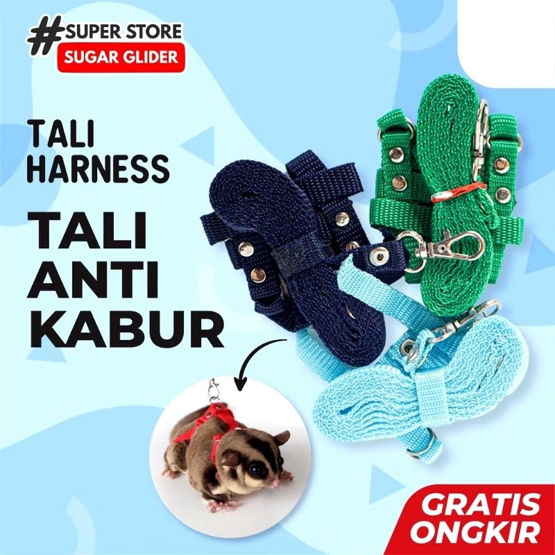 Jual HARNESS SG - Tali Tuntun Tali Penuntun Harness H Sugar Glider ...
