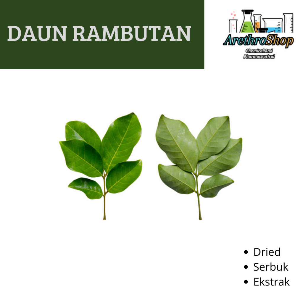 Jual EKSTRAK DAUN RAMBUTAN 10 GRAM BEST PRODUCT | Shopee Indonesia
