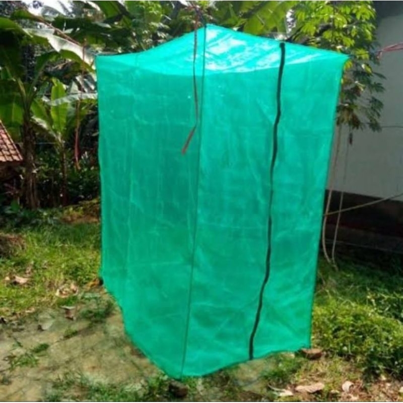 Jual Kandang Maggot Bsf Untuk Ternak Maggot Ukuran 70*70 *200 cm ...