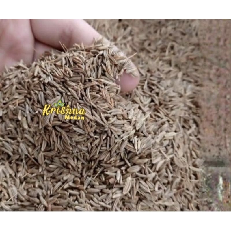 Jual Jintan Halus | Cumin Seeds | Jintan putih | Shopee Indonesia