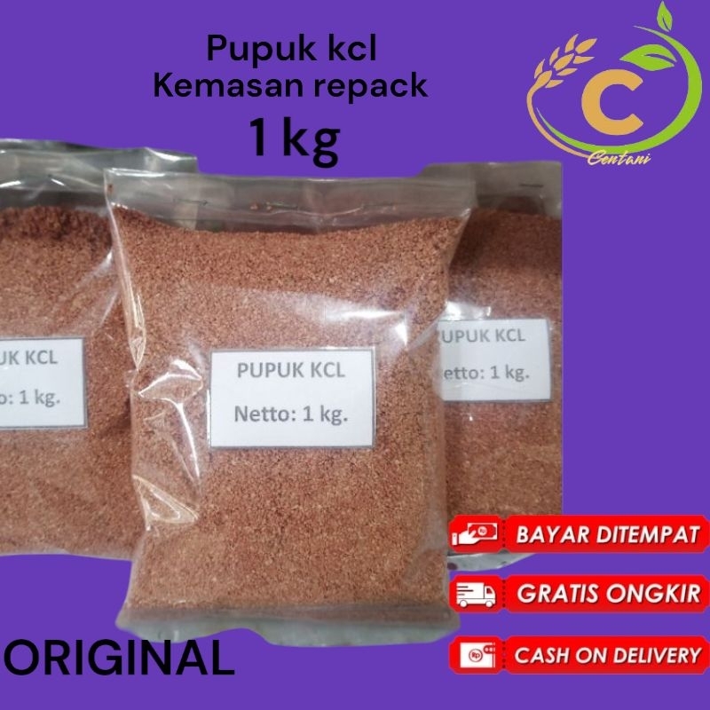 Jual PUPUK KCL 1 KG Pupuk Pembuahan Pembesar Buah Umbi Semua Tanaman | Shopee Indonesia