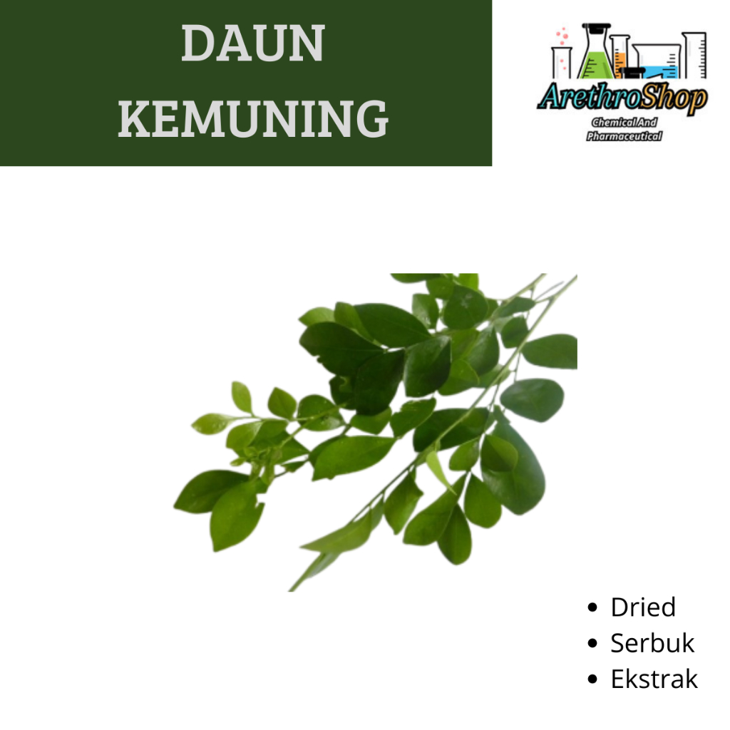 Jual SERBUK DAN DRIED DAUN KEMUNING BEST PRODUCT | Shopee Indonesia