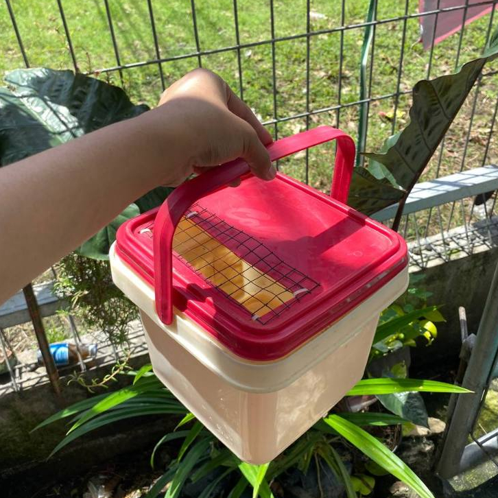 Jual Kandang Tikus Box Modif Mencit Hamster Kalajengking Rat Kandang ...