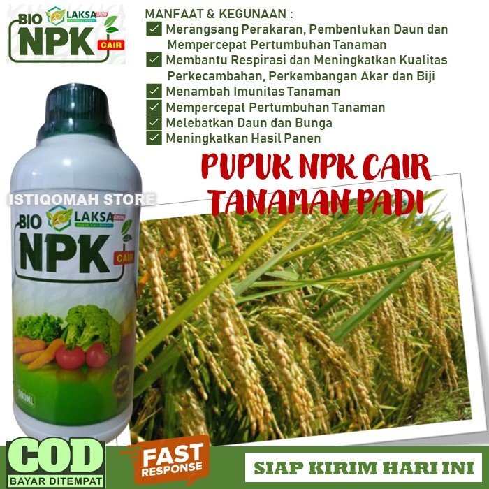 Jual Pupuk Penyubur dan Pelebat Tanaman Padi yang Bagus dan Padi Menjadi Lebat Berisi BIO NPK ...
