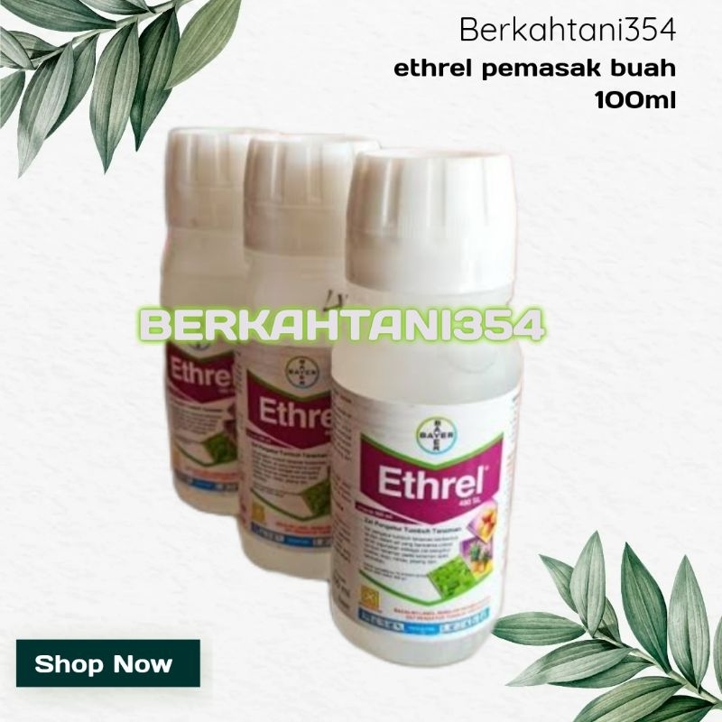 Jual Zpt pemasak pematang buah pisang dll ethrel 100ml zat pemasak buah ...