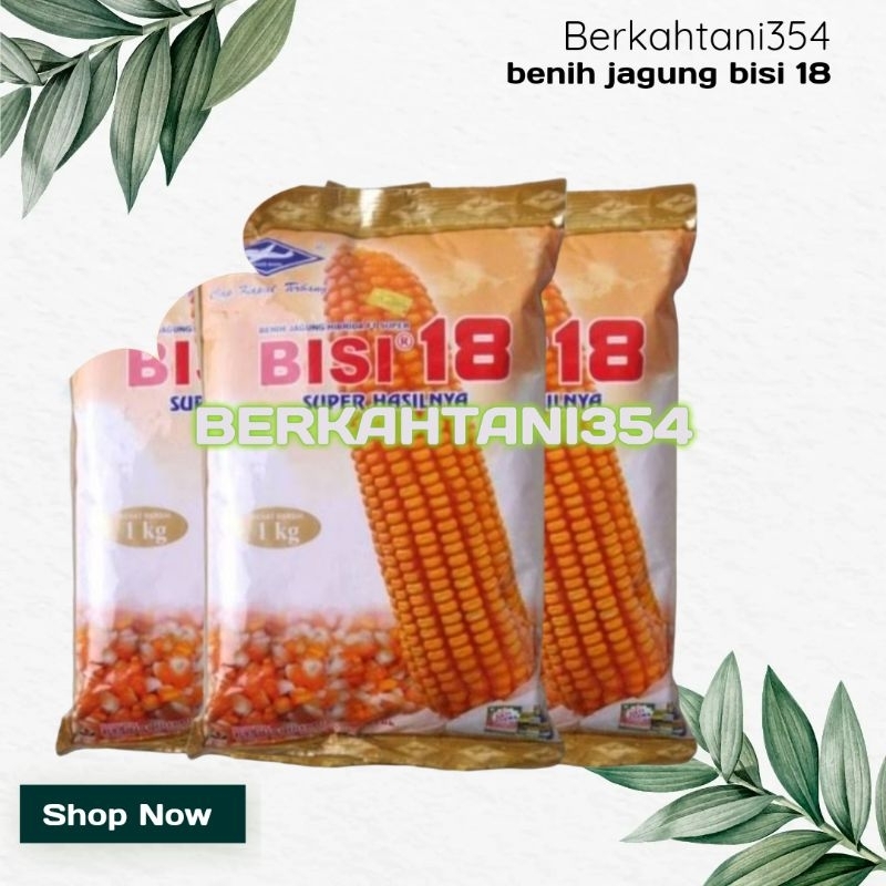 Jual Benih jagung bisi 18 gold 1kg | Shopee Indonesia