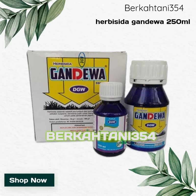 Jual HERBISIDA GANDEWA 550SC 250ML obat rumput jagung Gandewa 250ml ...