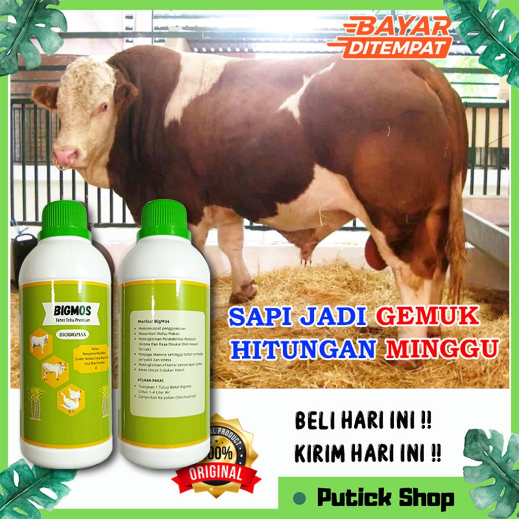 Jual MOLASE TETES TEBU PENGGEMUK SAPI BIGMOS PENGGEMUK SAPI VITAMIN ...