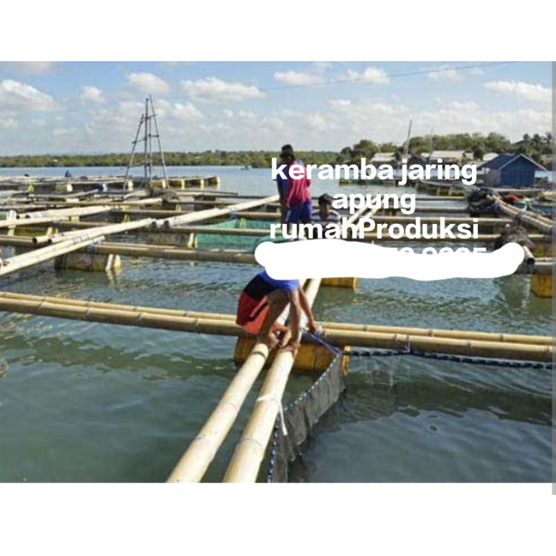 Jual KJA @16 buah jaring apung 5m x 5m x 1.5m | Shopee Indonesia