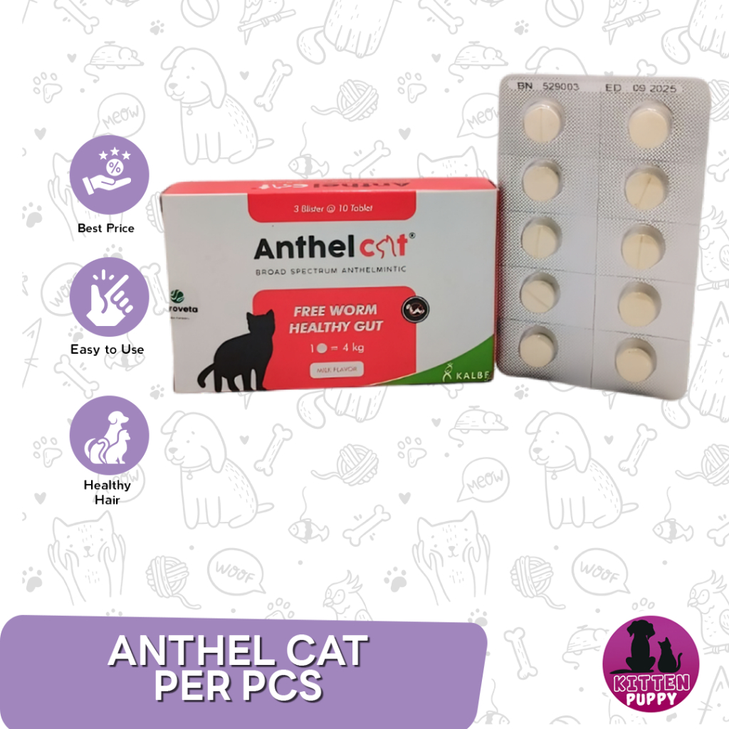 Jual Obat Cacing Kucing Tablet Anthel Cat | Shopee Indonesia