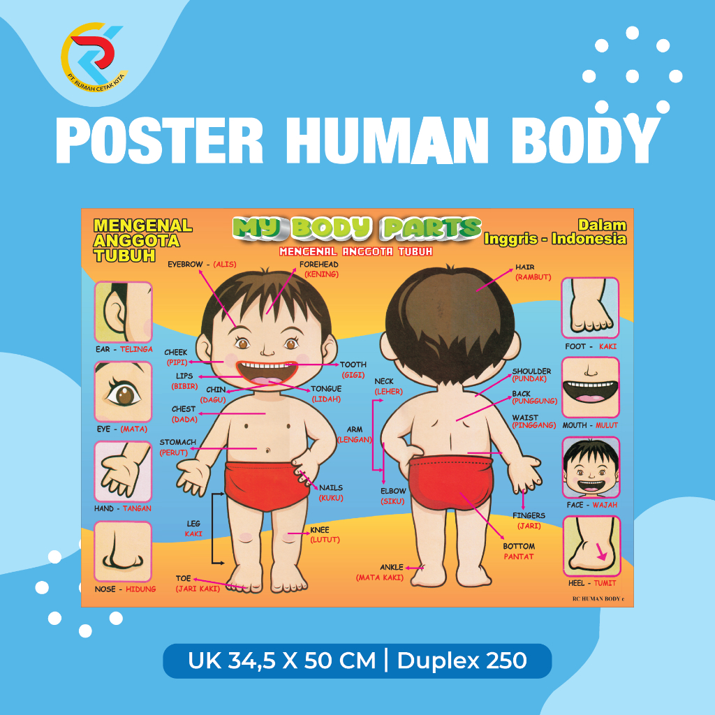 Jual Poster Edukasi Anak Human Body (MENGENAL ANGGOTA TUBUH 2) | Shopee ...