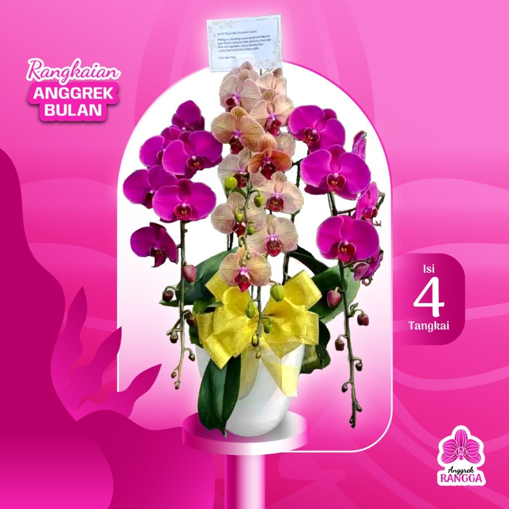 Jual Rangkaian Anggrek Bulan 4 Tangkai | Shopee Indonesia