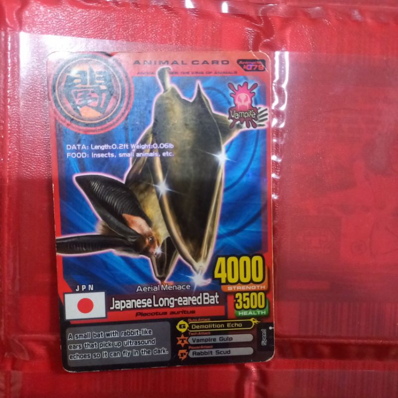 Jual Kartu Animal Kaiser card Japanese Long-eared Bat | Shopee Indonesia
