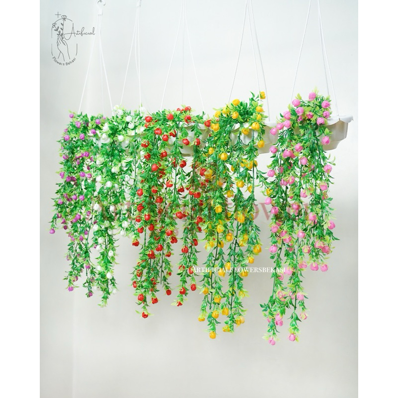 Jual art /BUNGA PRITI + POT GANTUNG TALI (PGT)/Vernalya PRITI / daun ...