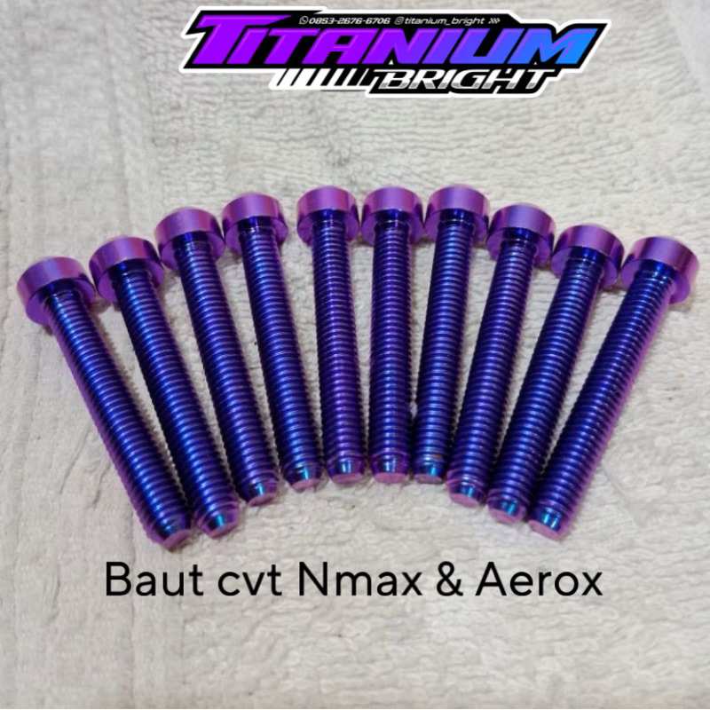 Jual Baut Titanium CVT Aerox Nmax Original Titanium GR5 (10 BIJI ...