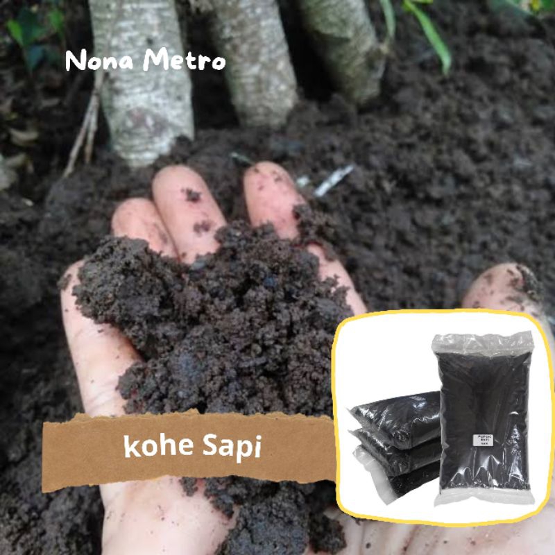 Jual pupuk kandang kompos kotoran sapi permentasi 1 kg siap pakai ...