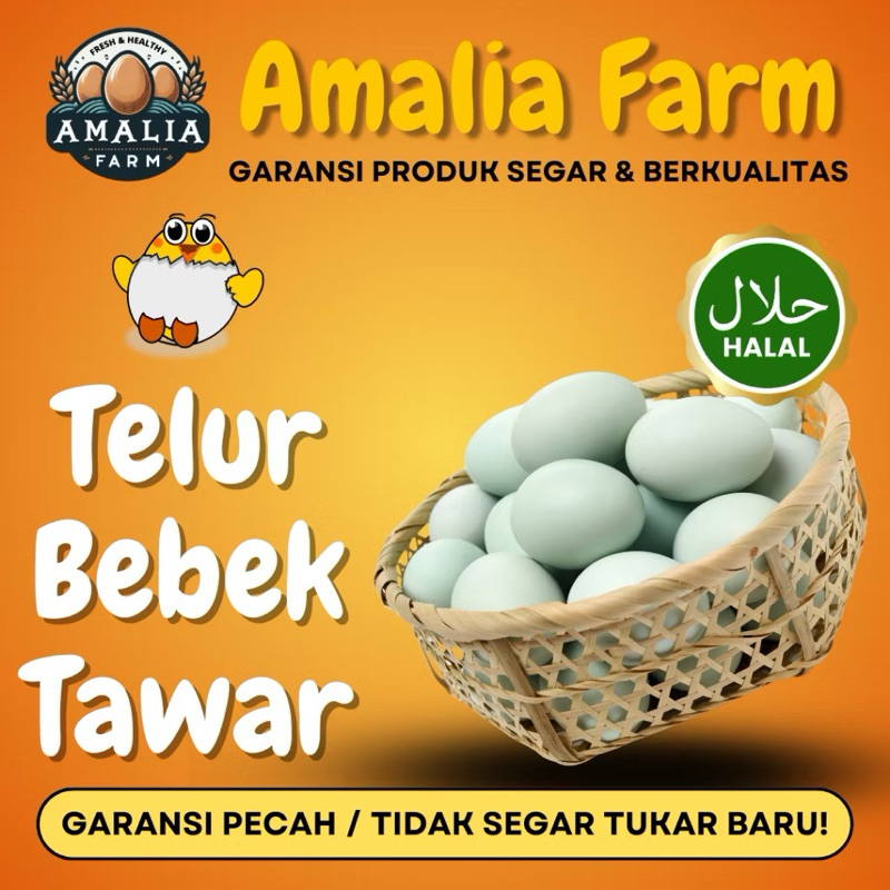 Jual Telur bebek mentah tawar segar | Shopee Indonesia