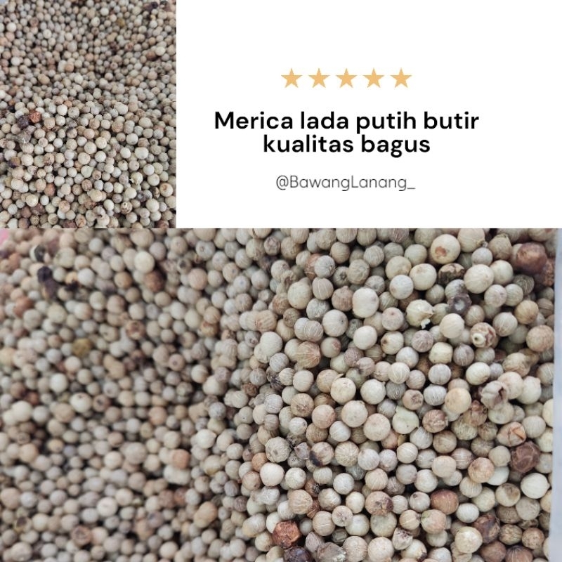 Jual Merica Lada Putih Butir Kualitas Bagus 50gr Harga Ekonomis ...