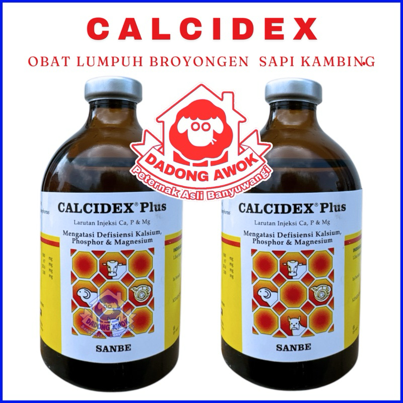 Jual CALCIDEX PLUS 100 ml obat broyongen / lumpuh Sapi Kambing DOMBA ...