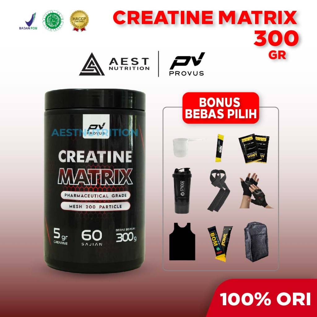 Jual Provus Creatine Matrix 300 gram Creatine Monohydrate Unflavored ...