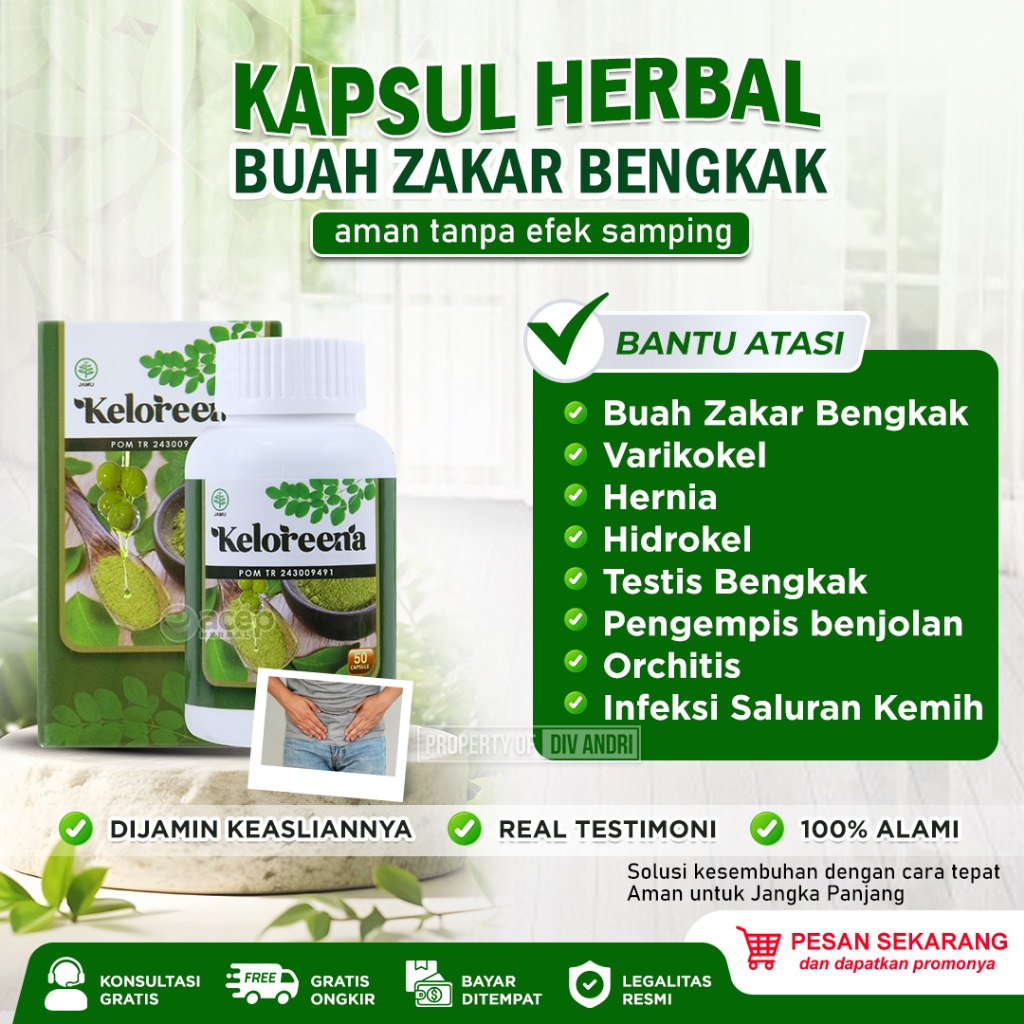 Jual Obat Buah Zakar Bengkak Sebelah Kanan Varikokel Farikokel Testis ...
