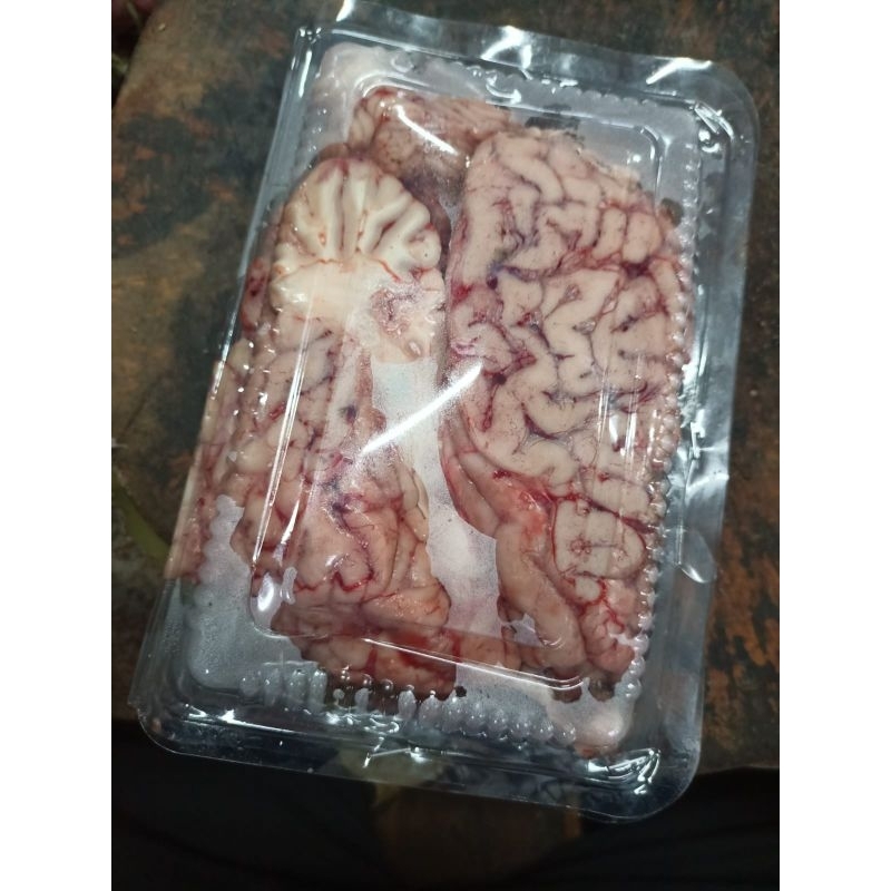 Jual Otak sapi (berat per mika 400 - 500 gram) | Shopee Indonesia