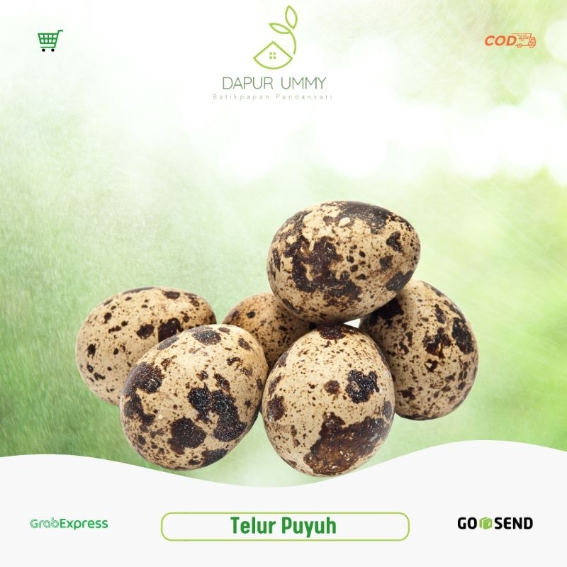 Jual 1 Butir Telur Terlengkap & Harga Terbaru Mei 2026 | Shopee Indonesia