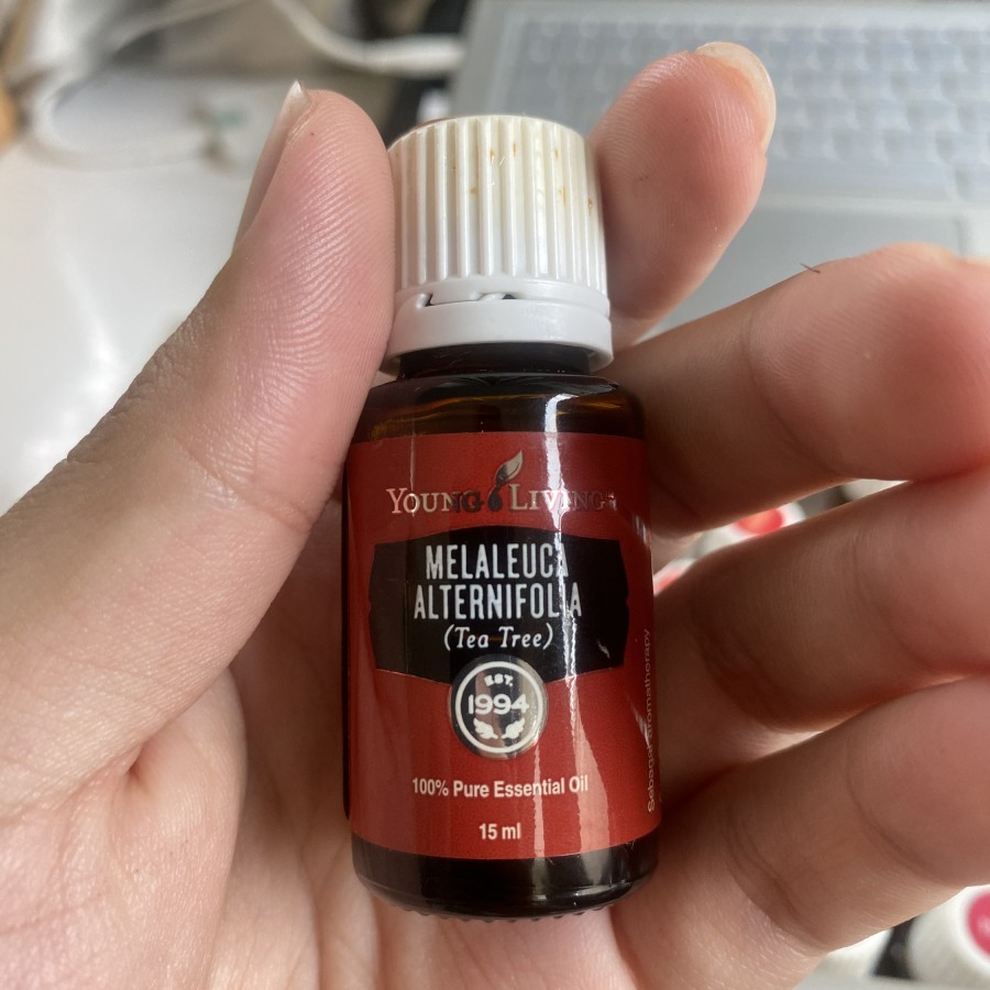 Jual Tea tree 15ml essential oil young living | Shopee Indonesia