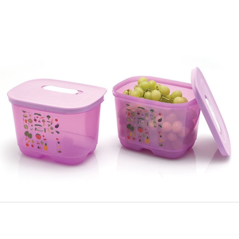 Jual TUPPERWARE VENTSMART 1.8L (2) | Shopee Indonesia