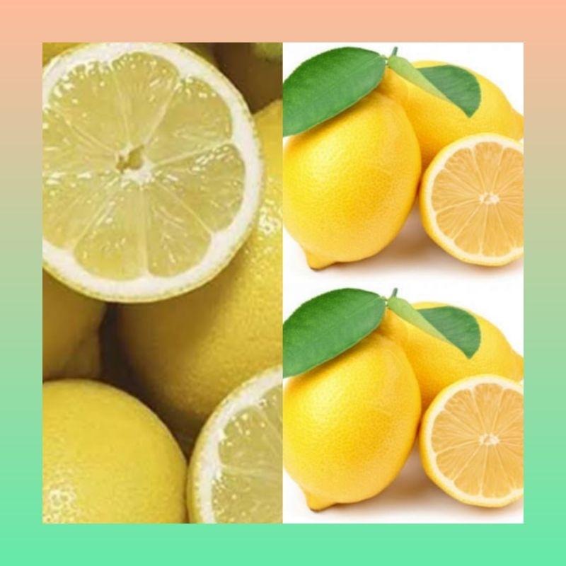 Jual Buah jeruk lemon segar 1 kg | Jeruk lemon California fresh | Lemon ...